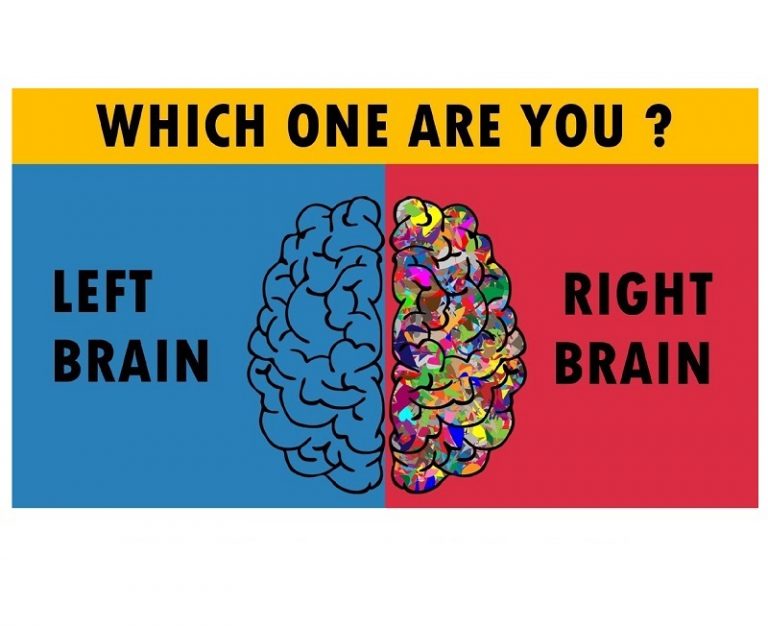 Right Brain – Left Brain Test – Iq test for free